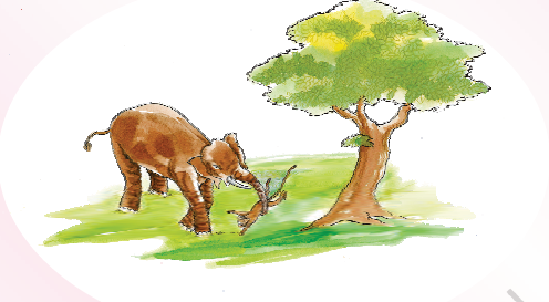 Ncert Book Class 2 English Raindrops The Monkey And The Elephant